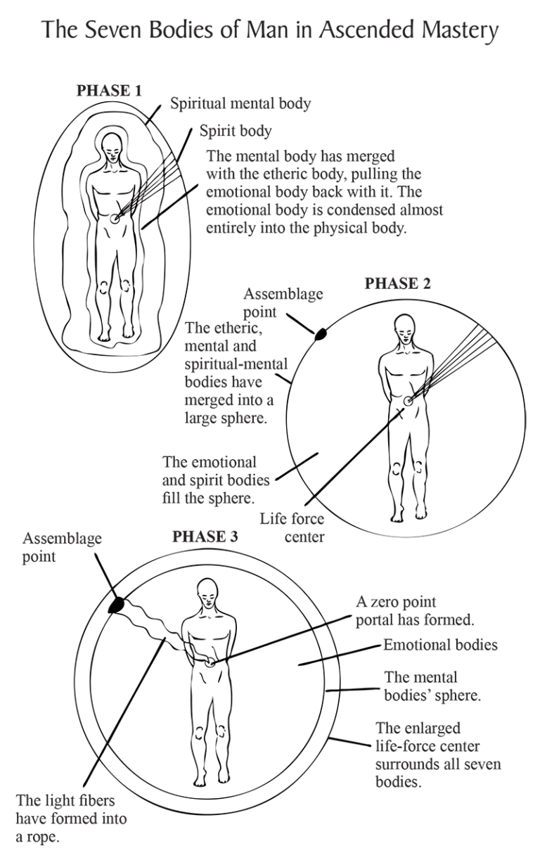 Eliminating the Rogue Elements of the 7th Lightbody ★Almine