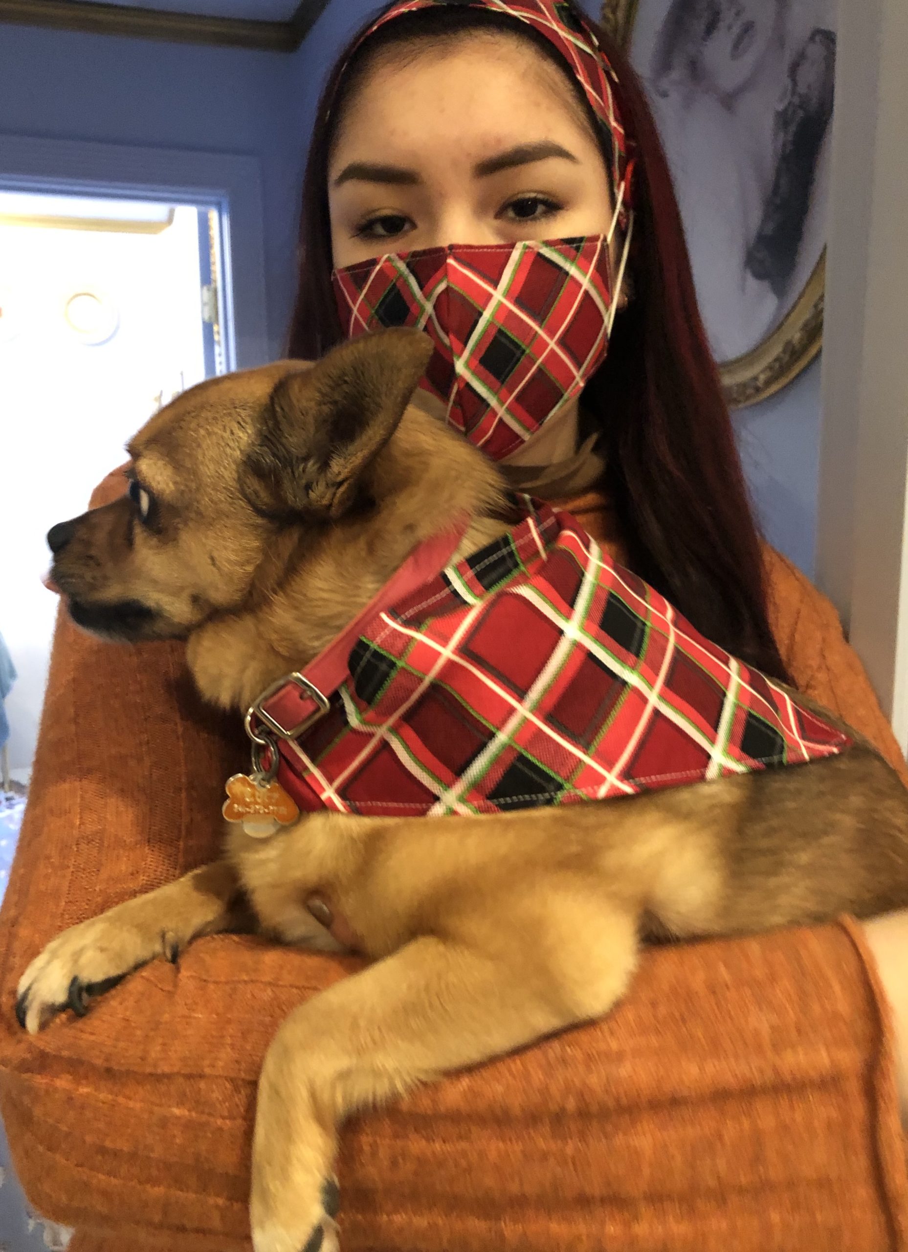 FUN FACTS ABOUT THE SEER | Almine