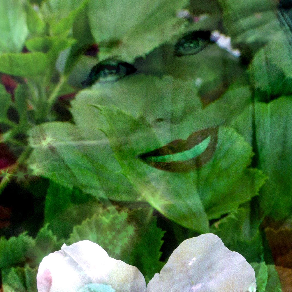 The Most Advanced Level | Almine